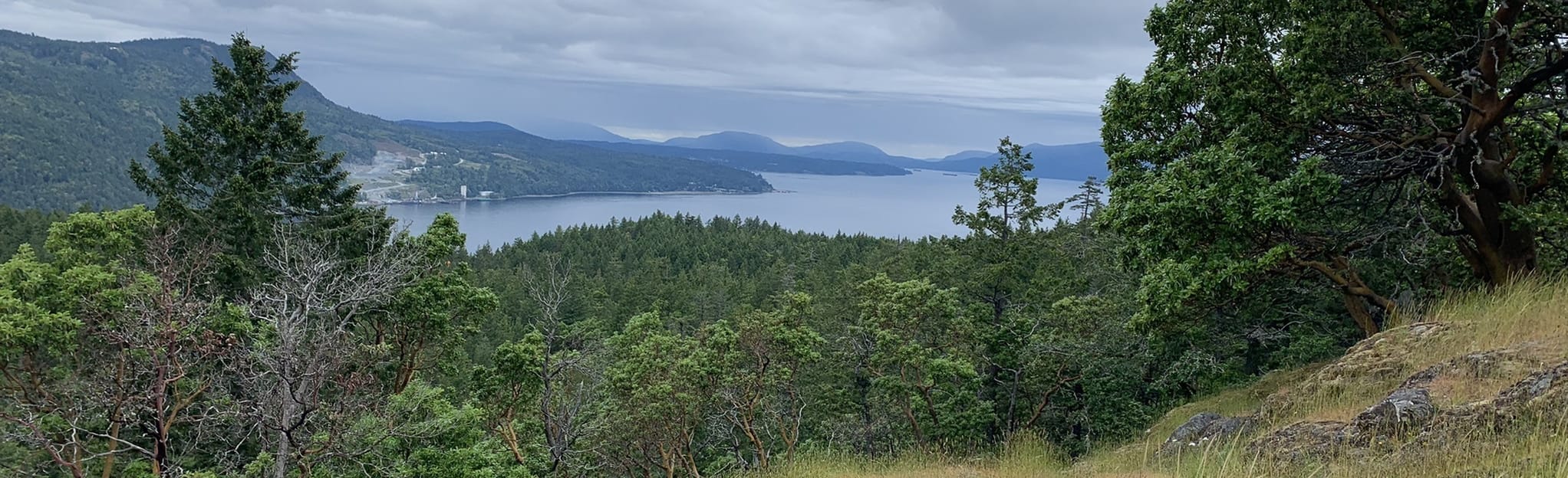 Partridge Hills Loop via Willis Point Road: 57 Reviews, Map - British ...