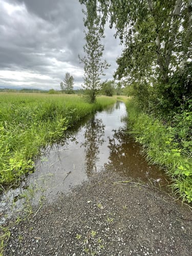 Best Hikes and Trails in Ridgefield National Wildlife Refuge | AllTrails