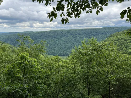 Best Hikes and Trails in Snake Hill Wildlife Management Area | AllTrails