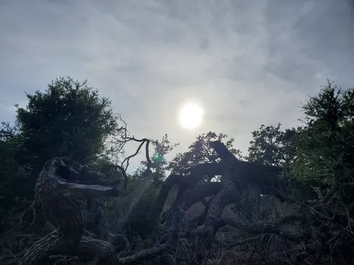 Best Hikes and Trails in Agoura Park | AllTrails