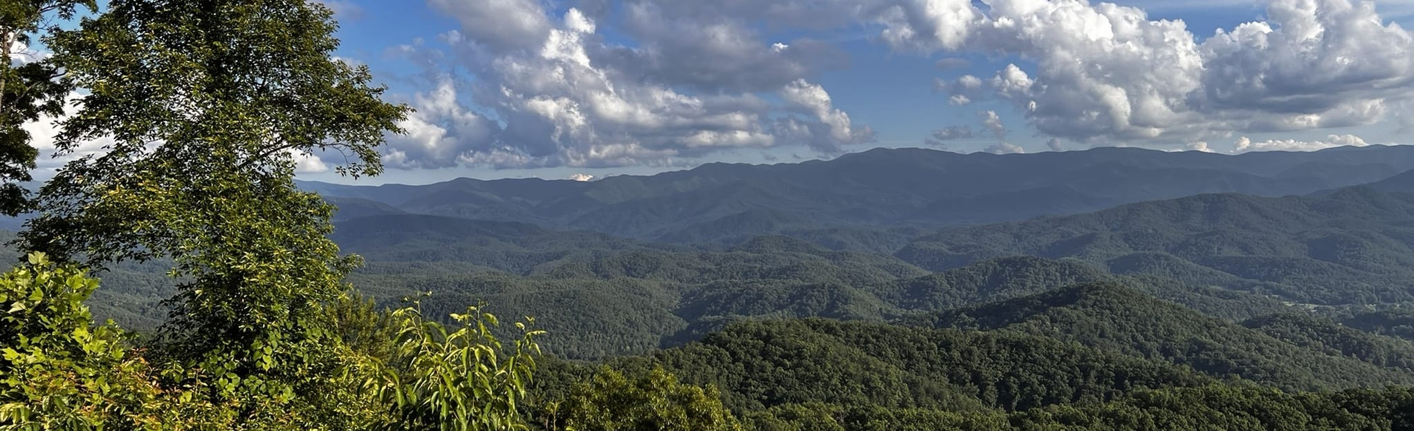 Foothills Parkway: Wear Valley to Chilhowee, Tennessee - 27 Reviews, Map | AllTrails