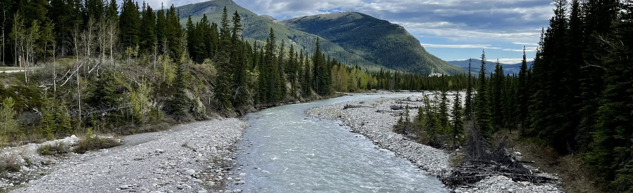 Romulus Campground via Little Elbow - Alberta, Canada | AllTrails