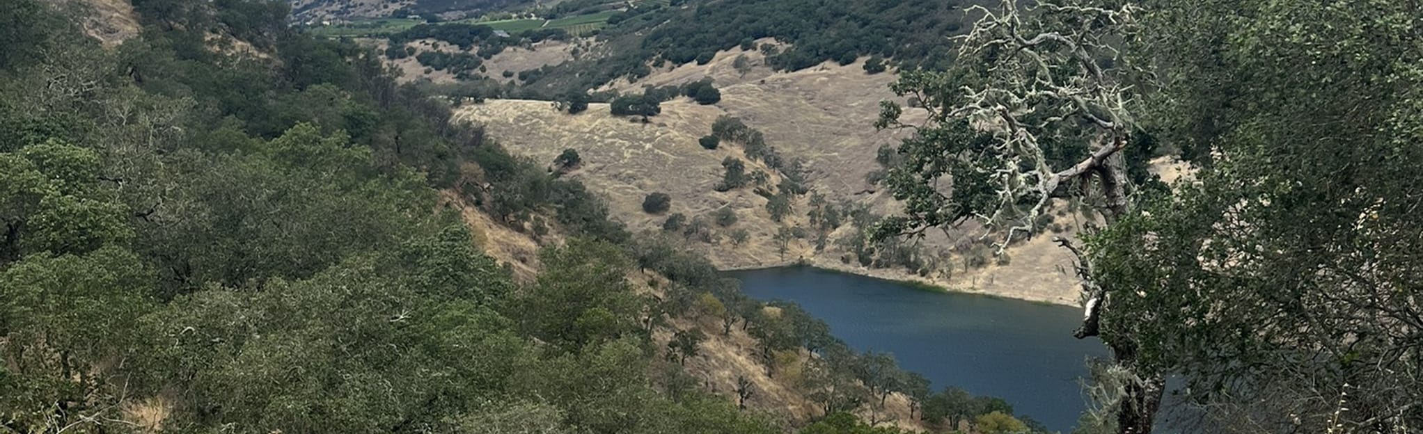 Rector Reservoir Wildlife Area, California - 340 Reviews, Map | AllTrails