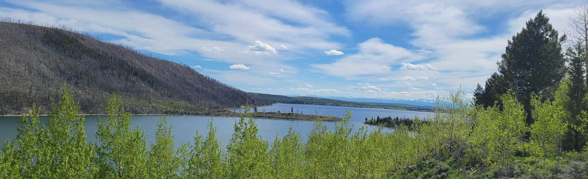 New Fork Trail: 31 Reviews, Map - Wyoming | AllTrails