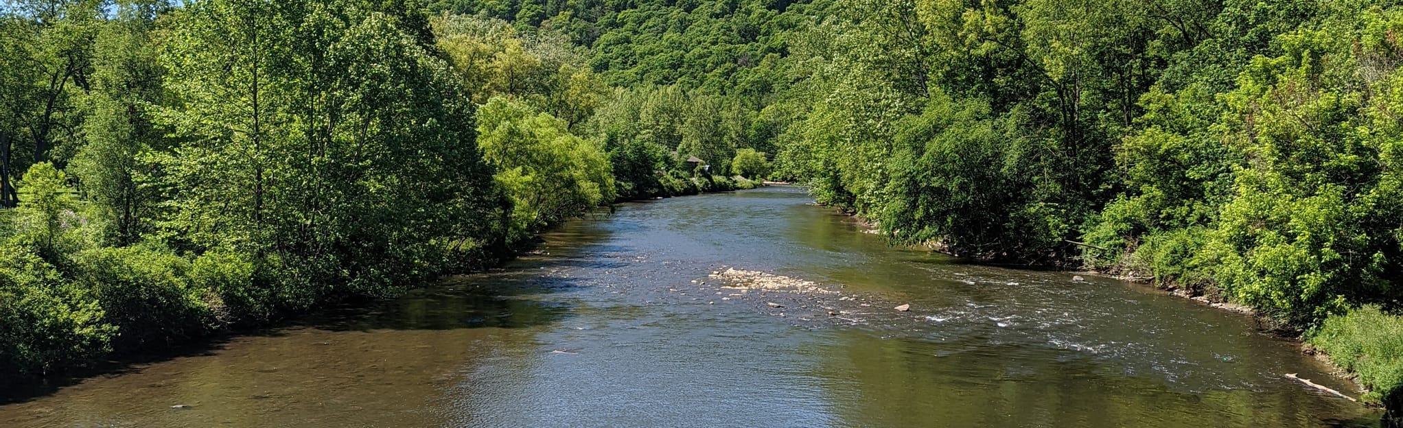 Gerard Hiking Trail, Pennsylvania - 279 Reviews, Map | AllTrails