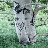 Eagle Lake, Alberta, Canada - 67 Reviews, Map | AllTrails