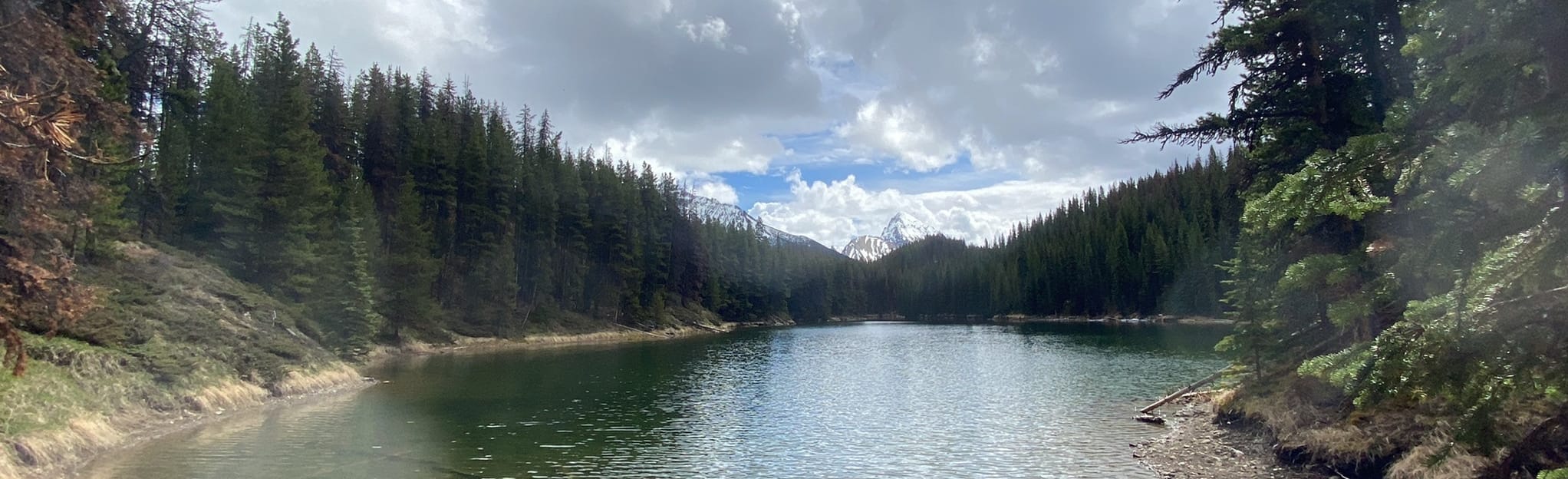 Moose Lake Trail, Alberta, Canada - 129 Reviews, Map | AllTrails