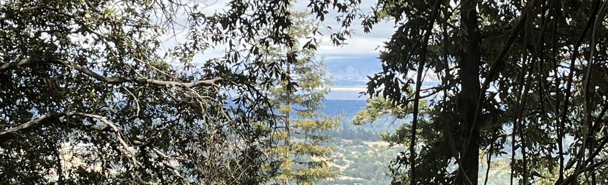 Lonely, Mount Redondo, Dean and Chinquapin Trail Loop [CLOSED]: 227 ...