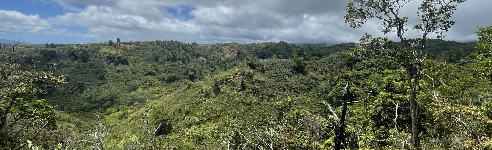 Waimano Falls Trail: 4397 Reviews, Map - Oahu, Hawaii | AllTrails