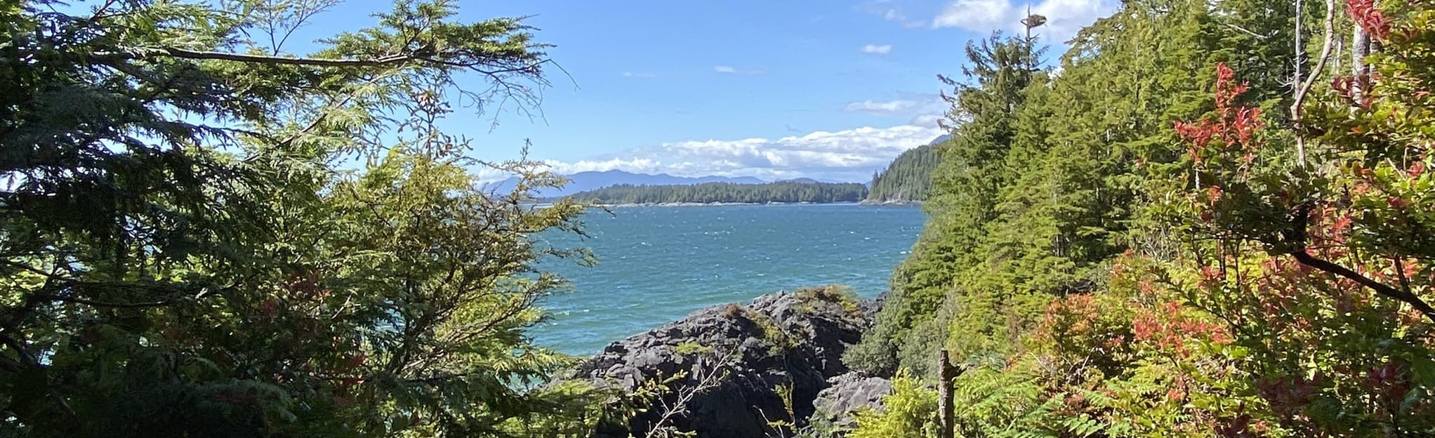Tonquin Trail: 999 Reviews, Map - British Columbia, Canada | AllTrails