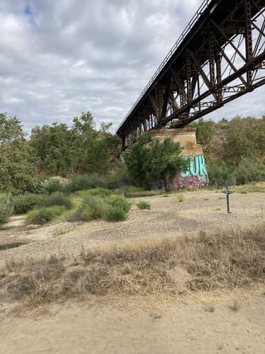 Best Hikes and Trails in Riverbottom Park | AllTrails