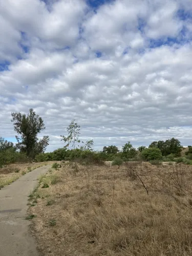 Best Hikes and Trails in Riverbottom Park | AllTrails