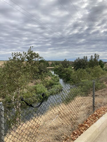 Best Hikes and Trails in Riverbottom Park | AllTrails