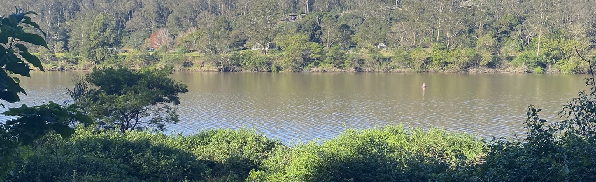 Bangalee Forest Walk: 10 Reviews, Map - New South Wales, Australia ...