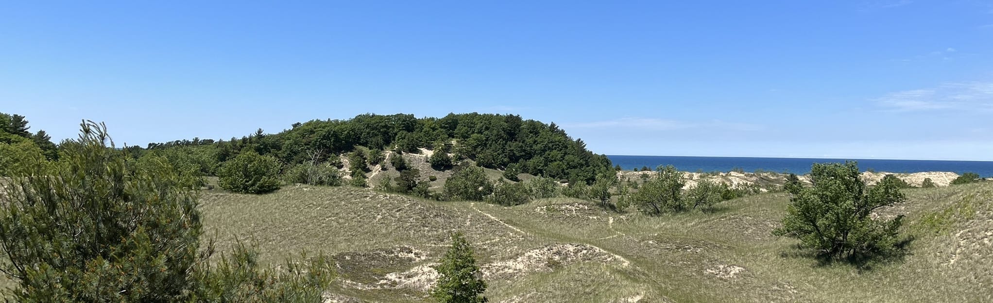 Ruckel's Bridge and Dunes Trail: 39 Reviews, Map - Michigan | AllTrails