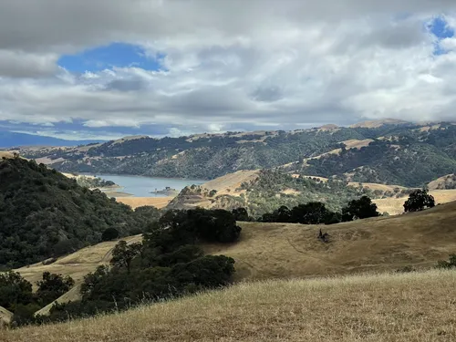 10 Best Hikes and Trails in Sunol Wilderness Regional Preserve | AllTrails