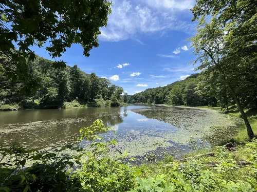 10 Best Hikes and Trails in Lake Hope State Park | AllTrails