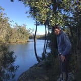 Berrara Waterfall, New South Wales, Australia - 45 Reviews, Map | AllTrails