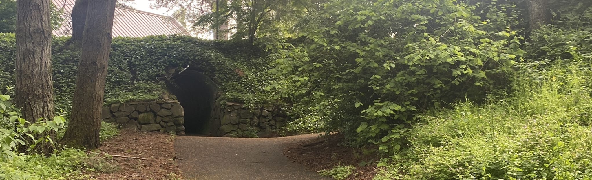 Trillium Run, Red Cedar Trail, And Evergreen Trail Loop: 67 Reviews ...