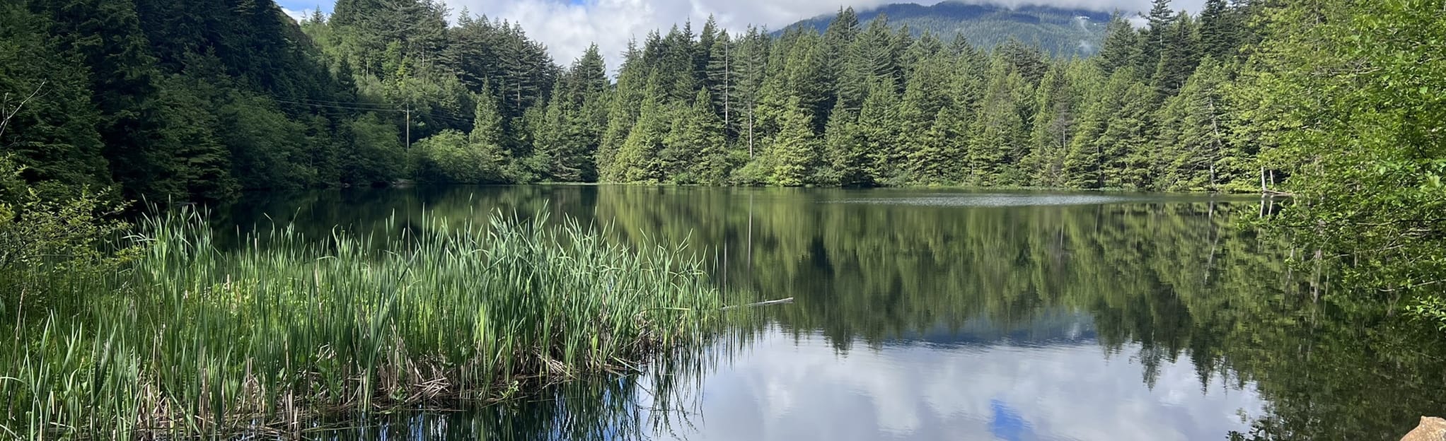 Murrin Loop and Jurassic Ridge Trail | Mappa, Guida - British Columbia ...