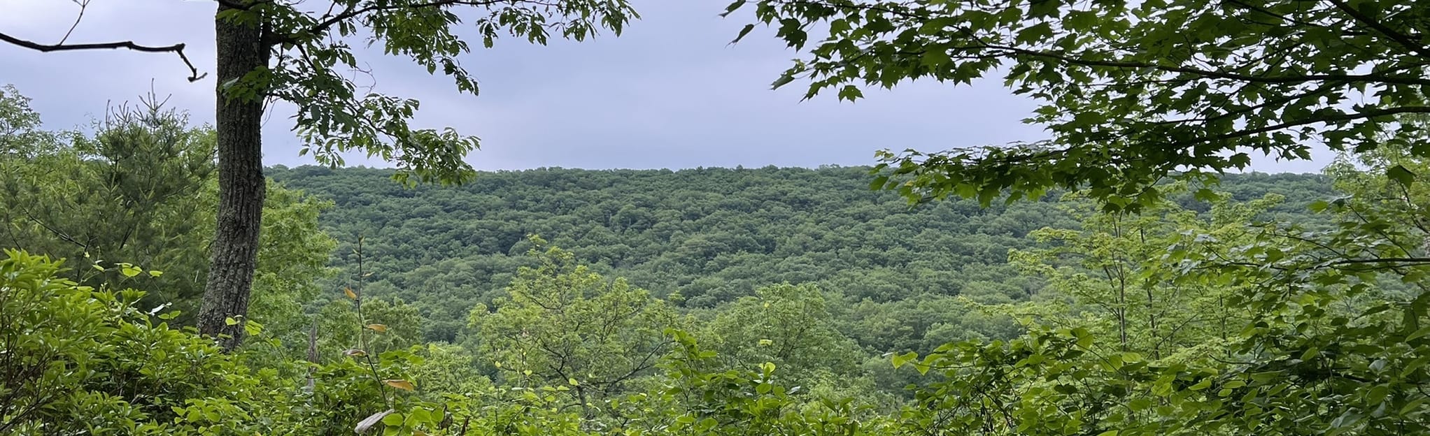 Thorpe, Dry Hollow, Little Poe Road: 11 Reviews, Map - Pennsylvania ...