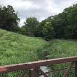 Point Douglas Trail, Minnesota - 257 Reviews, Map | AllTrails