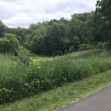 Point Douglas Trail, Minnesota - 257 Reviews, Map | AllTrails