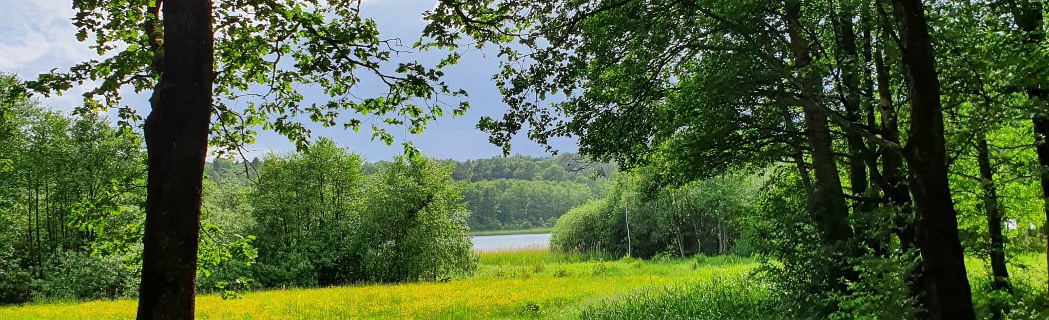 Långås Green, Västra Götaland, Sweden - 12 Reviews, Map | AllTrails