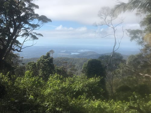 2023 Best 10 Waterfall Trails in D’Aguilar National Park | AllTrails