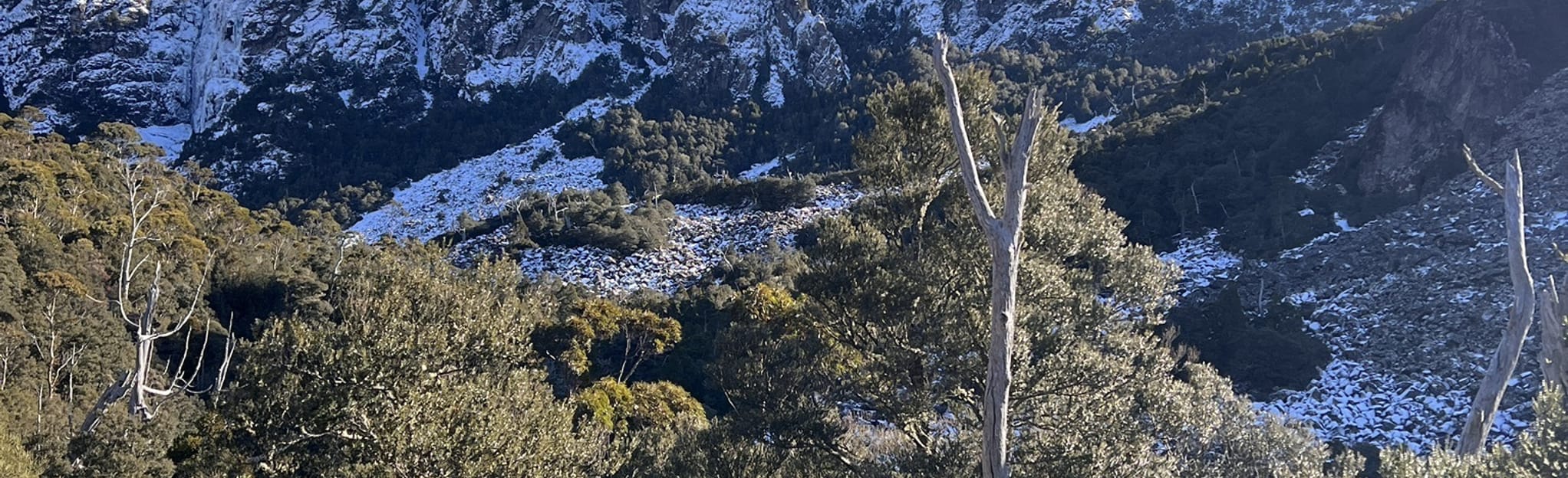 Meander Falls Circuit: 6 Reviews, Map - Tasmania, Australia | AllTrails