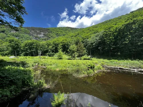 10 Best Hikes and Trails in Mount Mansfield State Forest | AllTrails