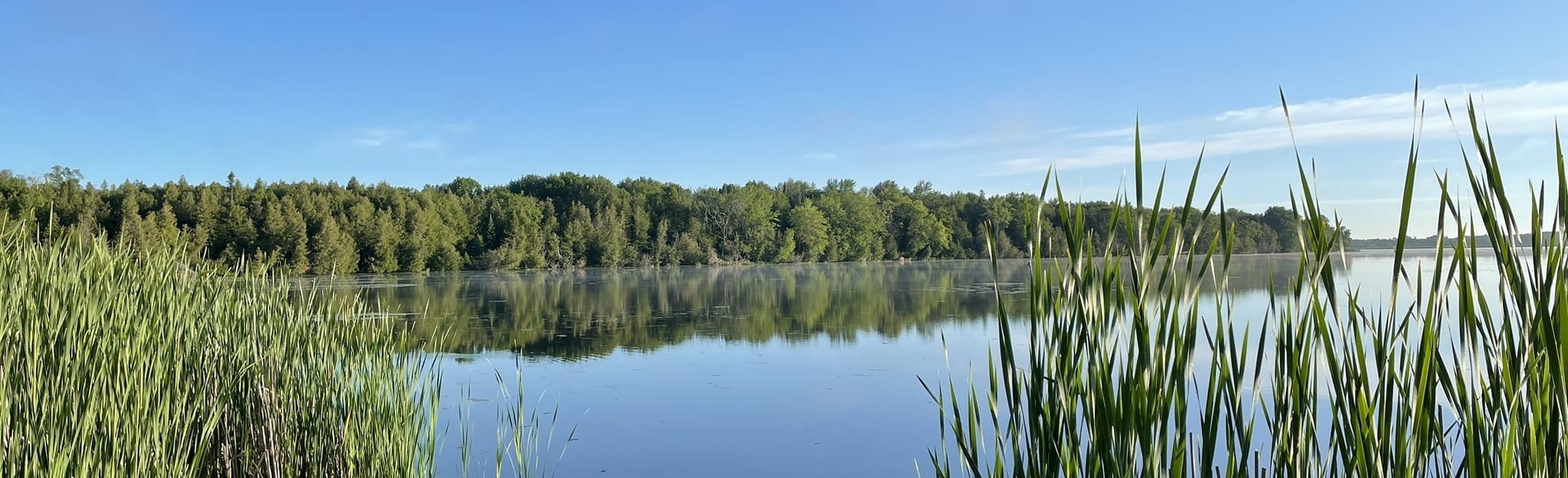 Ken Reid Loop: 98 Reviews, Map - Ontario, Canada | AllTrails