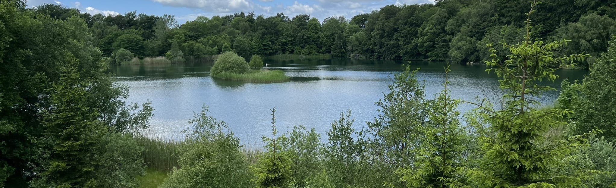 AllTrails | Hillerød to Allerød Trail: 6 Reviews, Map - Capital Region ...