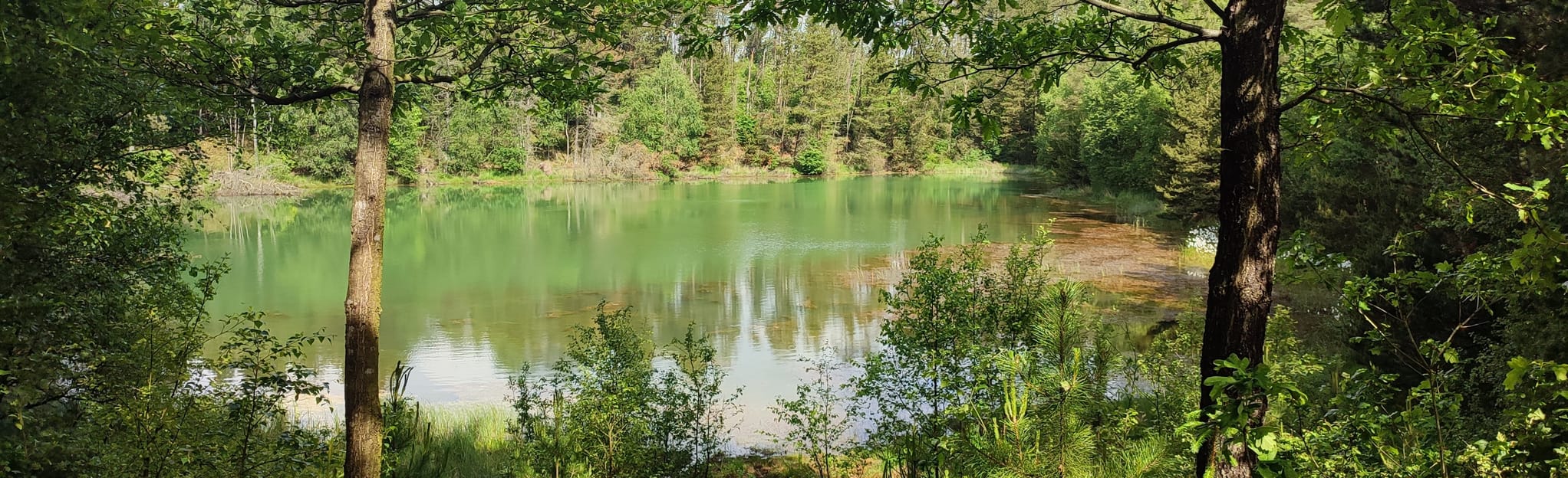 Kulsøen Rundt, Central Denmark, Denmark - 7 Reviews, Map | AllTrails