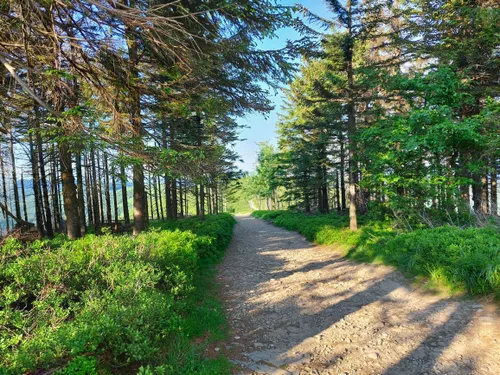 10 Best Hard Trails in Silesian Beskids Landscape Park | AllTrails