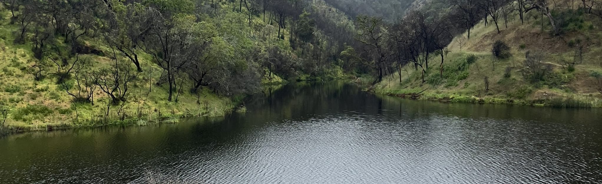 Willson Peak and Kelly Lake Loop, California - 58 Reviews, Map | AllTrails