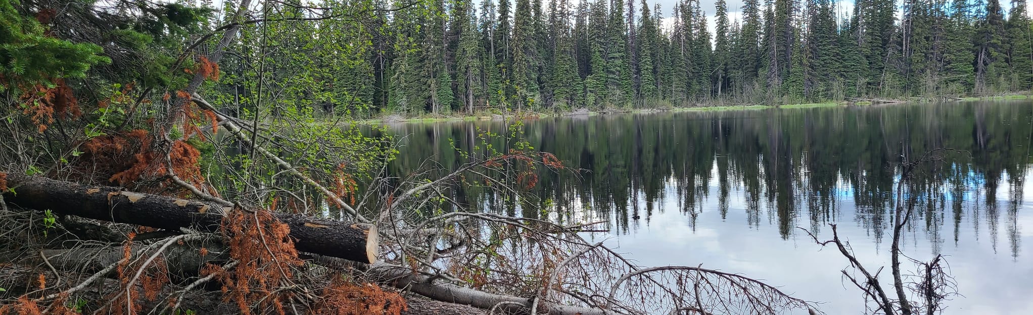 AllTrails | Terrace Mountain and Christie Lake: 23 Reviews, Map ...