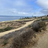 Sunset Cliffs Park Trail, California - 576 Reviews, Map | AllTrails