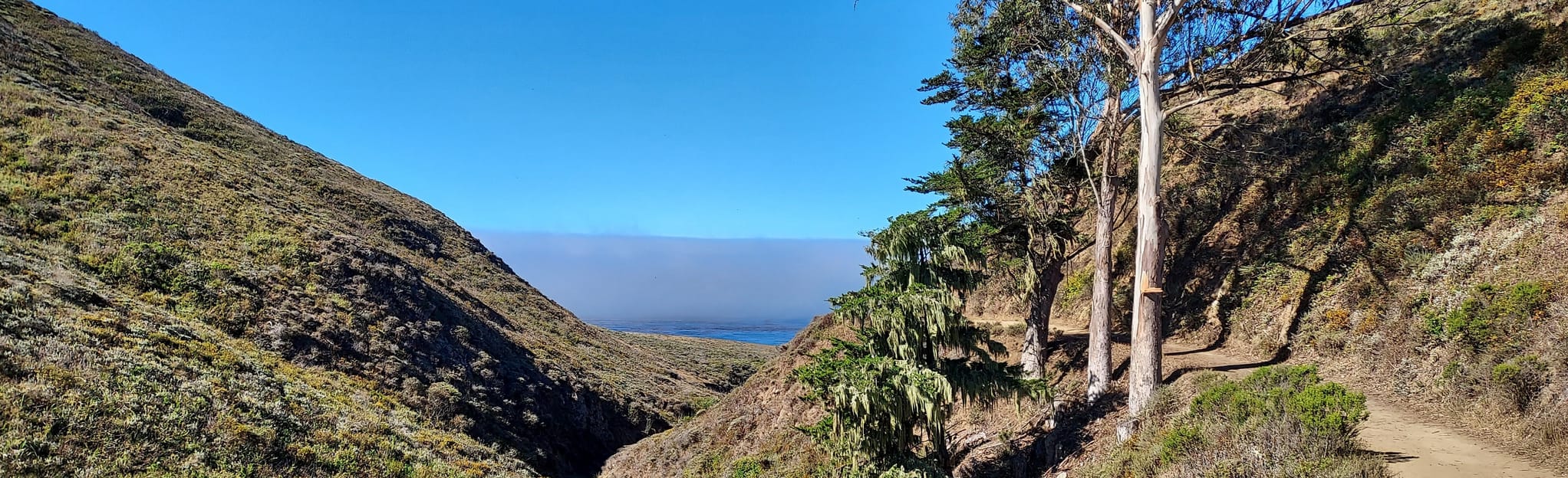 Headlands Trail, California - 651 Reviews, Map | AllTrails
