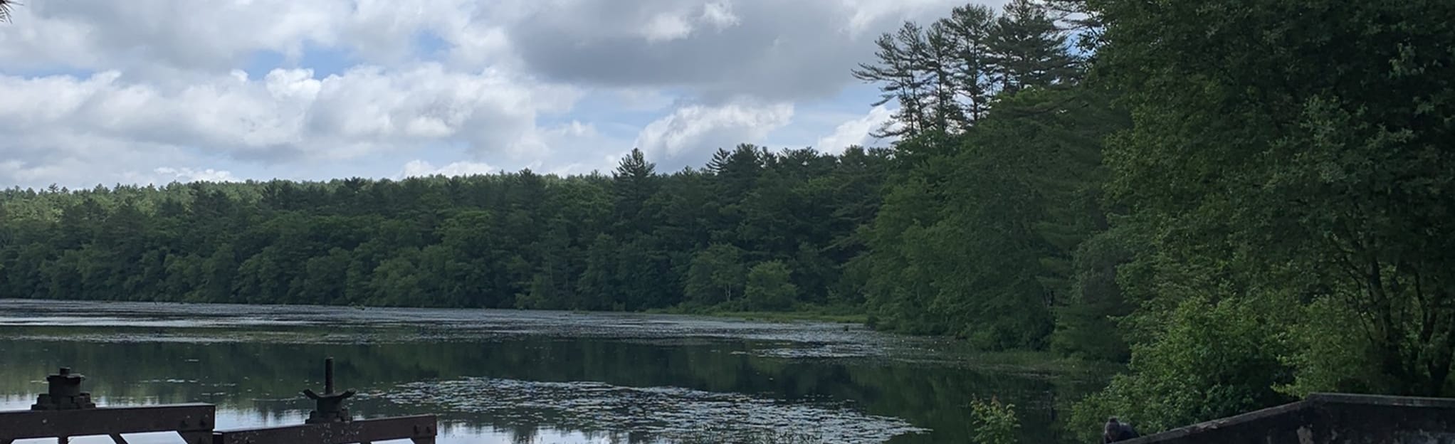 Ten Rod Road to Breakheart Pond , 1 049 Photos - Rhode Island | AllTrails