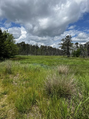 2023 Best Easy Trails in Rachel Carson National Wildlife Refuge | AllTrails