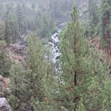 Riley Ranch Trails, Oregon - 474 Reviews, Map | AllTrails