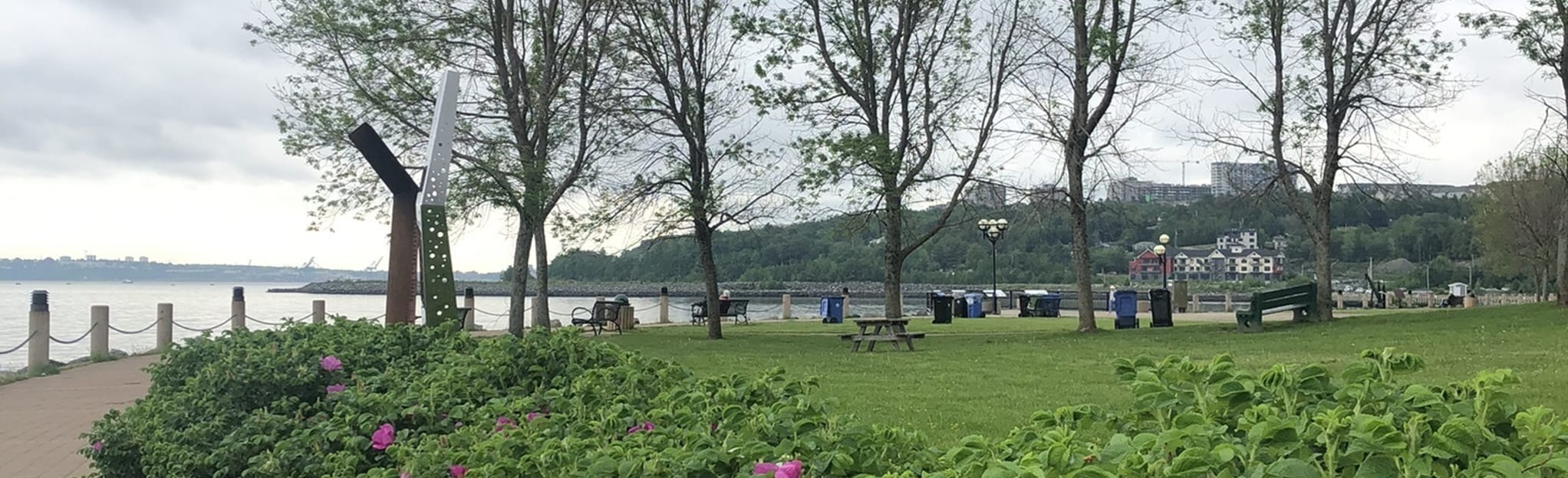 DeWolf Park Boardwalk , Nova Scotia, Canada - 86 Reviews, Map | AllTrails