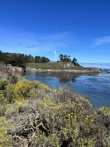 2023 Best 10 Easy Trails in Point Lobos State Natural Reserve | AllTrails