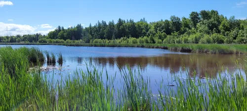 10 Best Trails and Hikes in North Bay | AllTrails