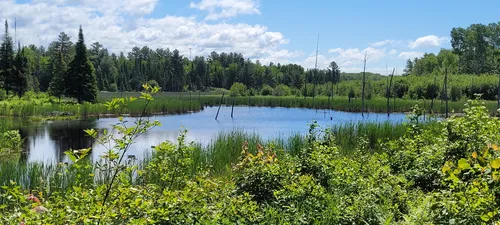 10 Best Trails and Hikes in North Bay | AllTrails