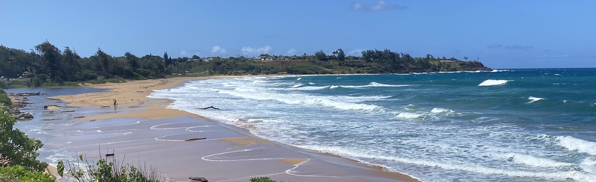 Kealia Beach Coastal Trail: 59 foto - Kaua'i, Hawaii | AllTrails