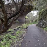 Merri Creek Trail, Victoria, Australia - 151 Reviews, Map | AllTrails