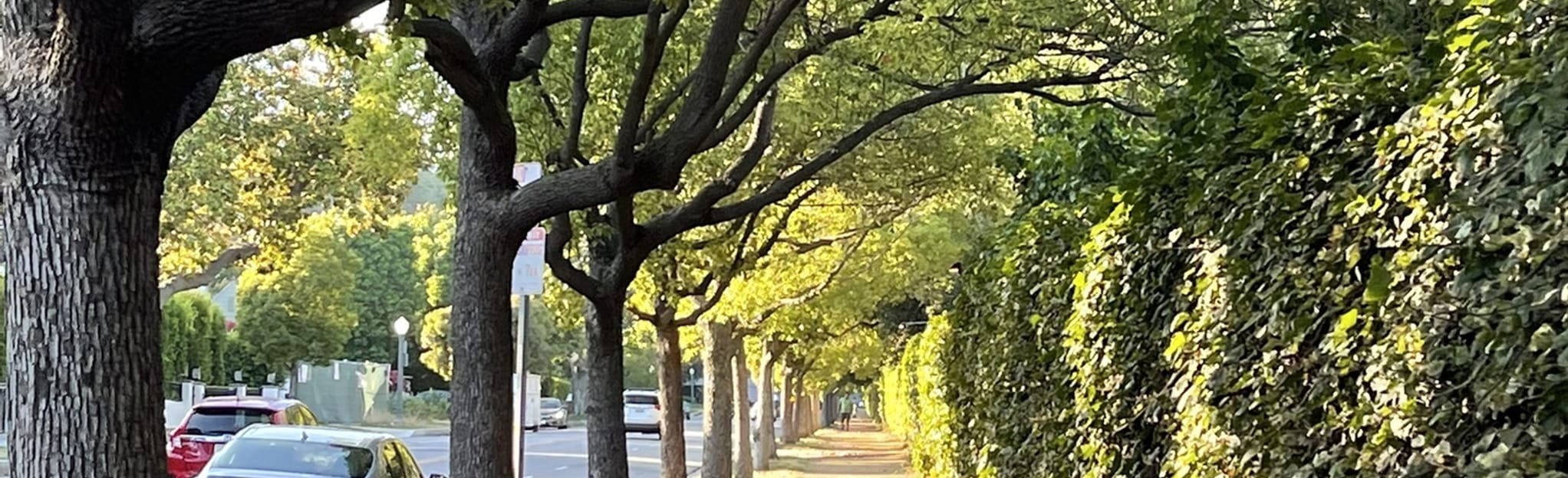 UCLA Perimeter Walk | Map, Guide - California | AllTrails