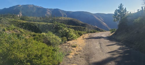 2023 Best 10 Trails and Hikes in Julian | AllTrails